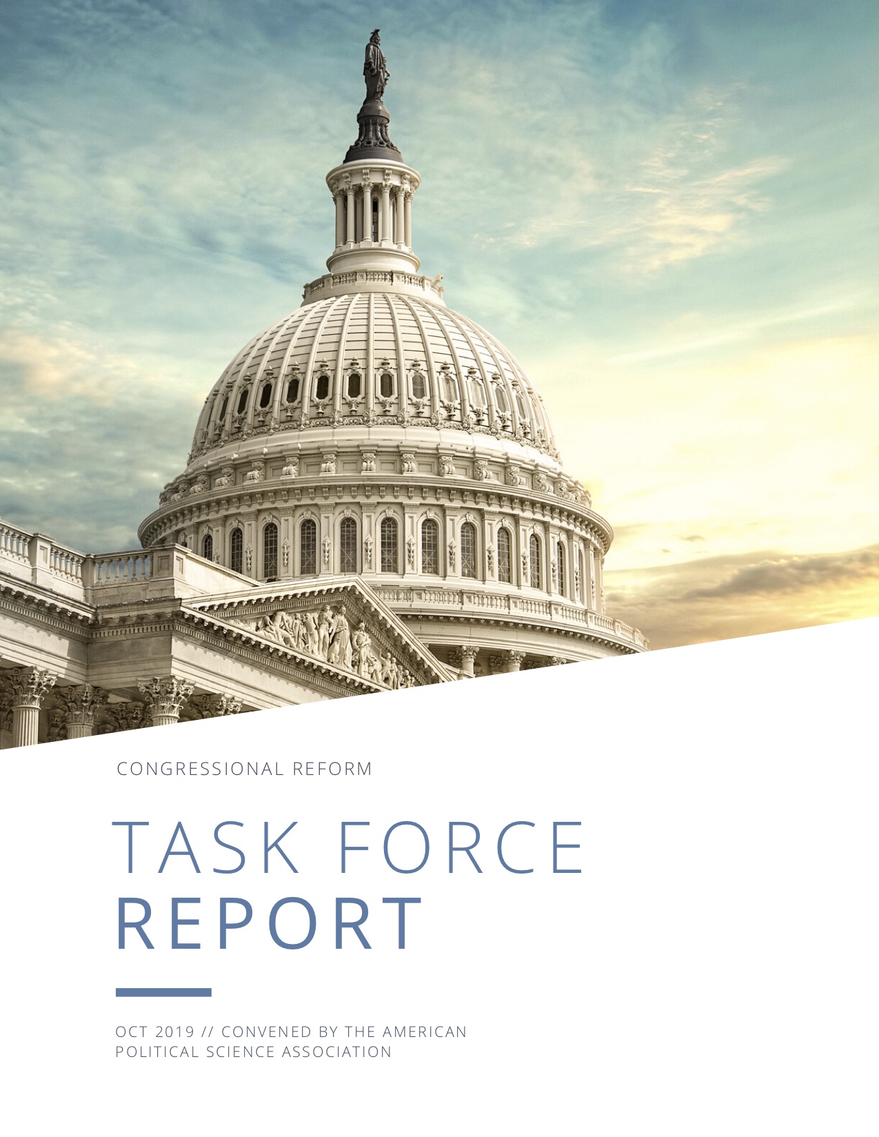 APSA congressional reform task force report - LegBranch